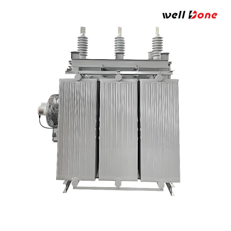 Hersteller von 6KV- und 10KV-630kVA-Ökodesign-Leistungstransformatoren – Welldone